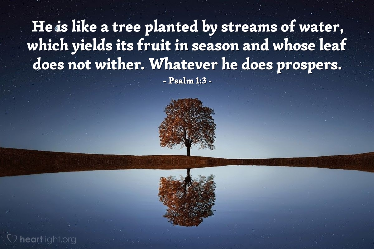 The Prayer Link – Daily requests for the prayer partners