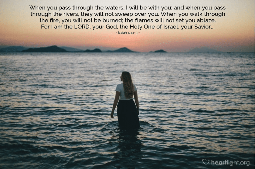 The Prayer Link – The Prayer Link